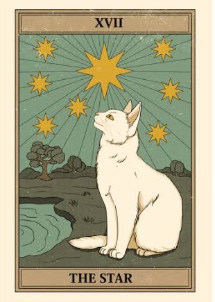 Look up. Look down. Look all around. – Beyond the Fields We Know